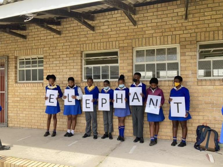 Community Engagement & Education – Rewilding Elephants